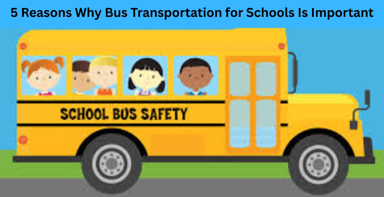 5 Reasons Why Bus Transportation for Schools Is Important - NEW ARABIAN ...
